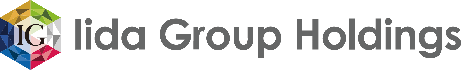 Iida Group logo in transparent PNG format