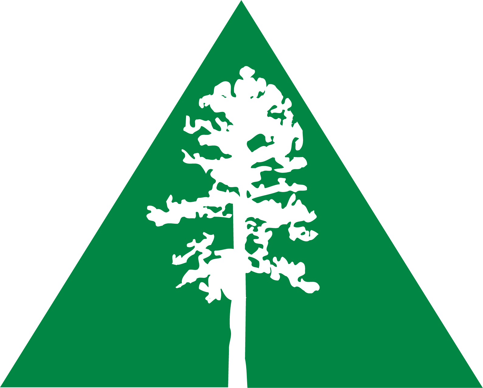 AMERISAFE logo in transparent PNG format