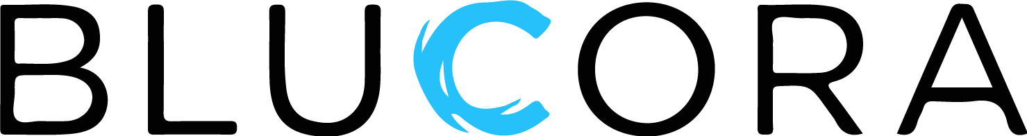 Logo de Blucora au format PNG transparent