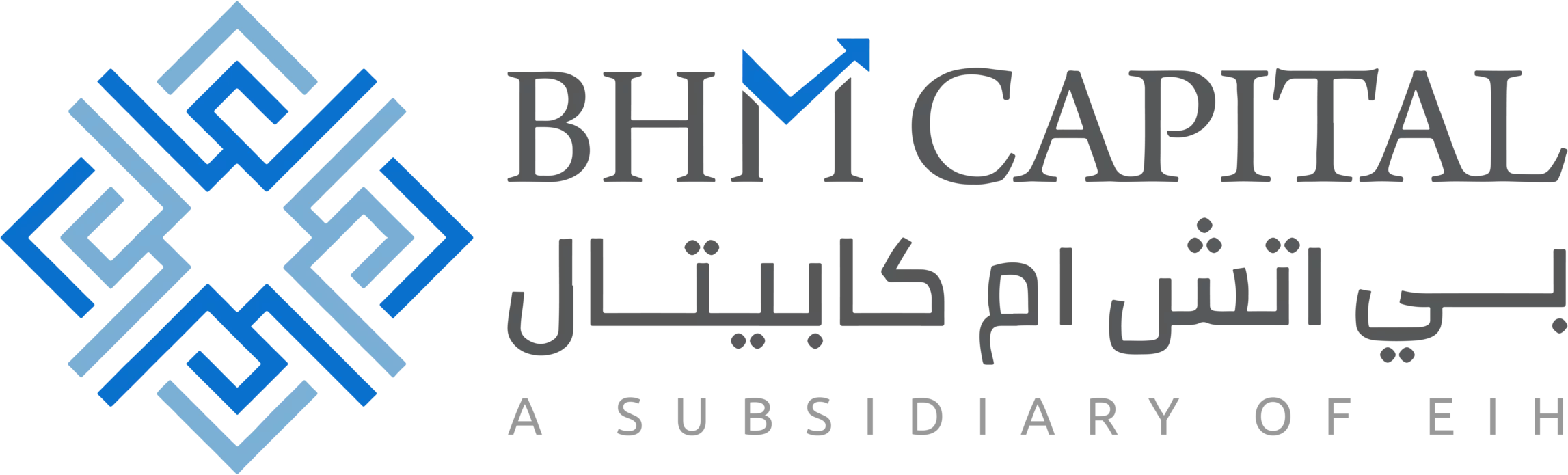 BHM Capital Financial Services logo in transparent PNG format