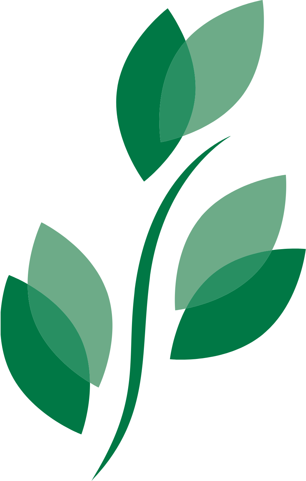 Brookdale Senior Living Logo im PNG-Format mit transparentem Hintergrund