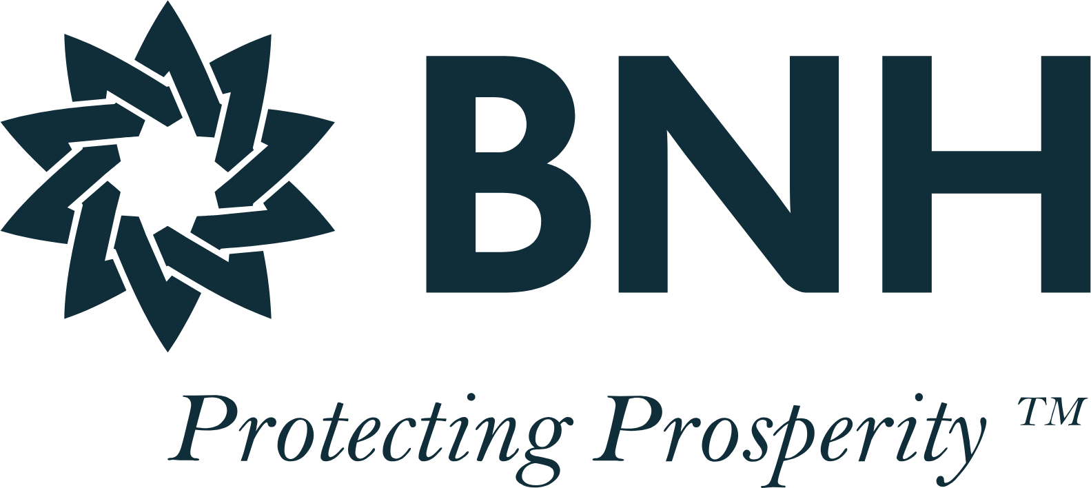 Bahrain National Holding logo in transparent PNG and vectorized SVG formats