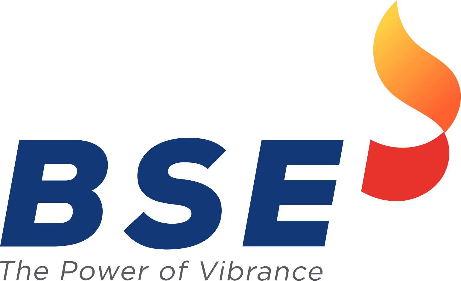 BSE logo in transparent PNG format