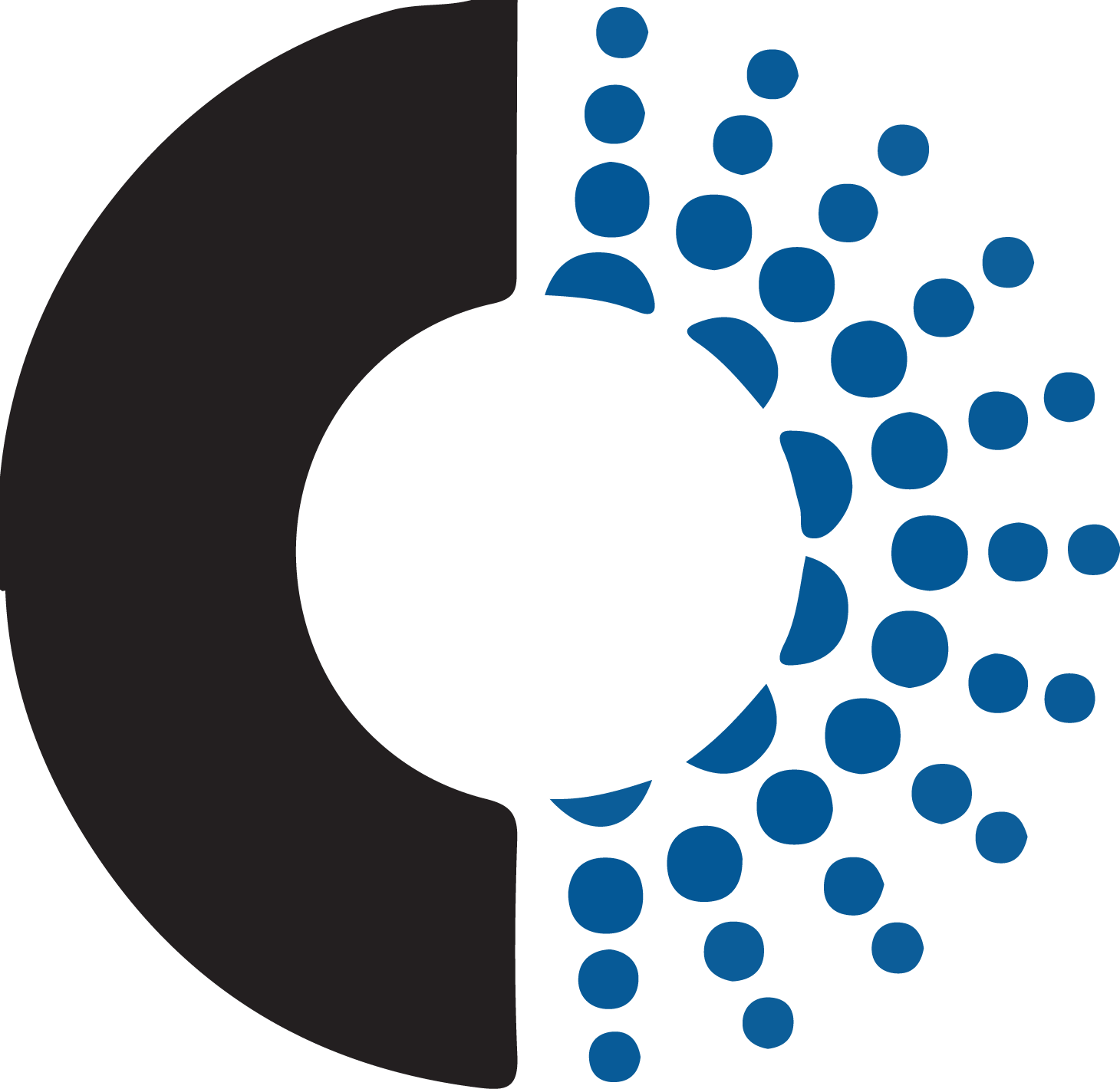 Chase Corporation logo in transparent PNG format