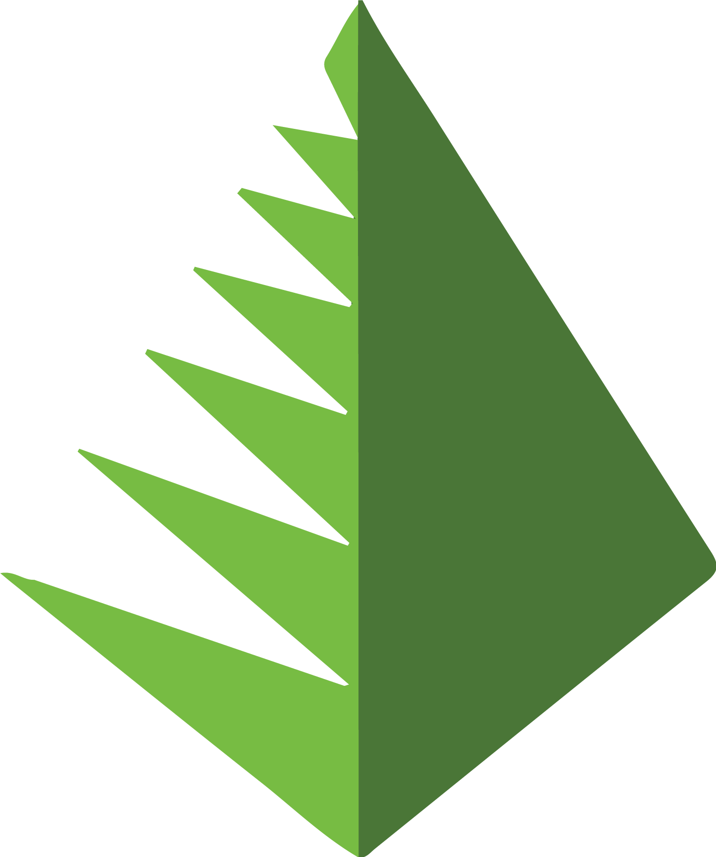 CatchMark Timber Trust logo in transparent PNG format