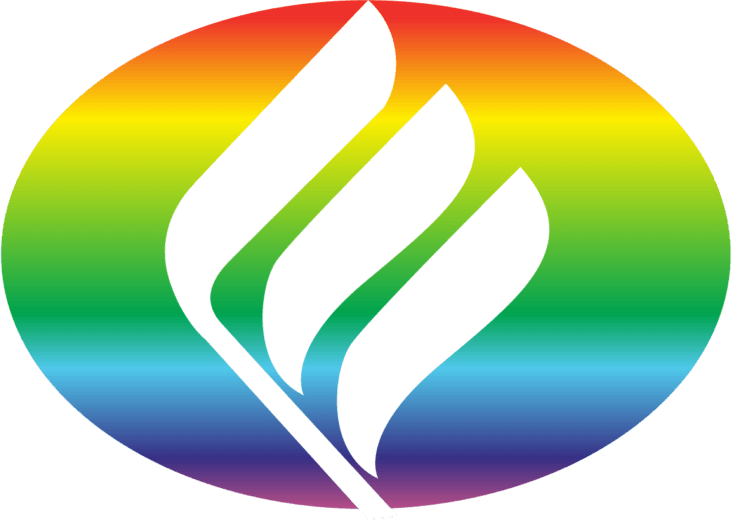 Emami logo in transparent PNG format