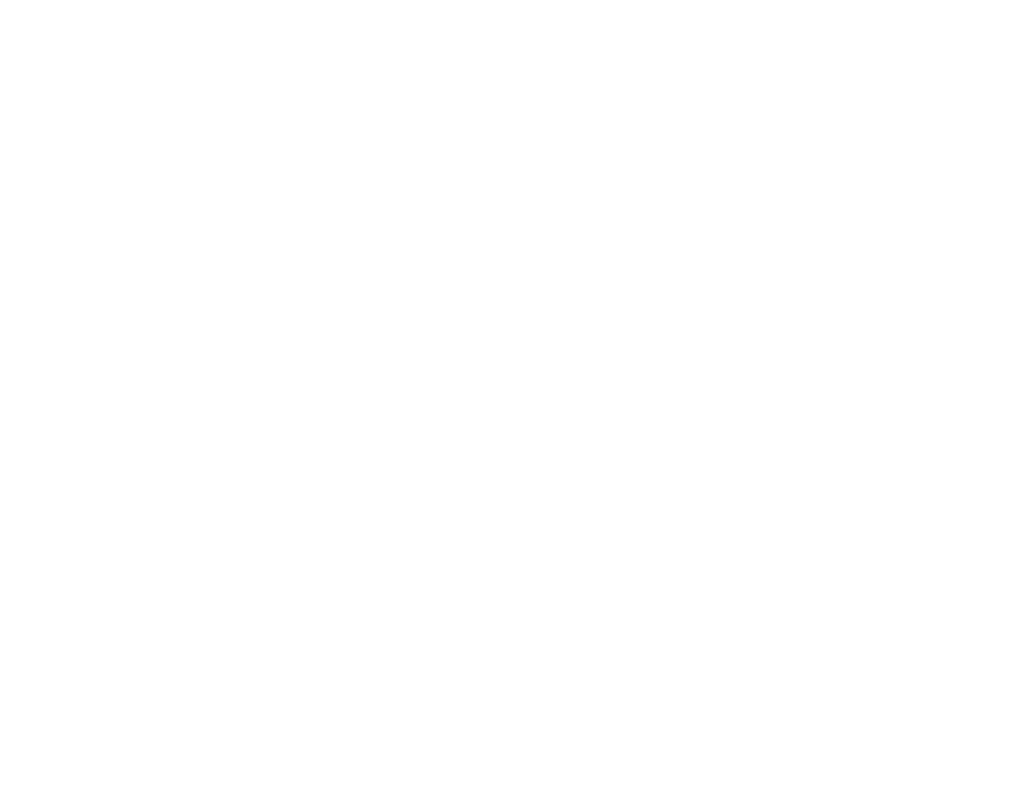 National Vision Holdings logo in transparent PNG and vectorized SVG formats
