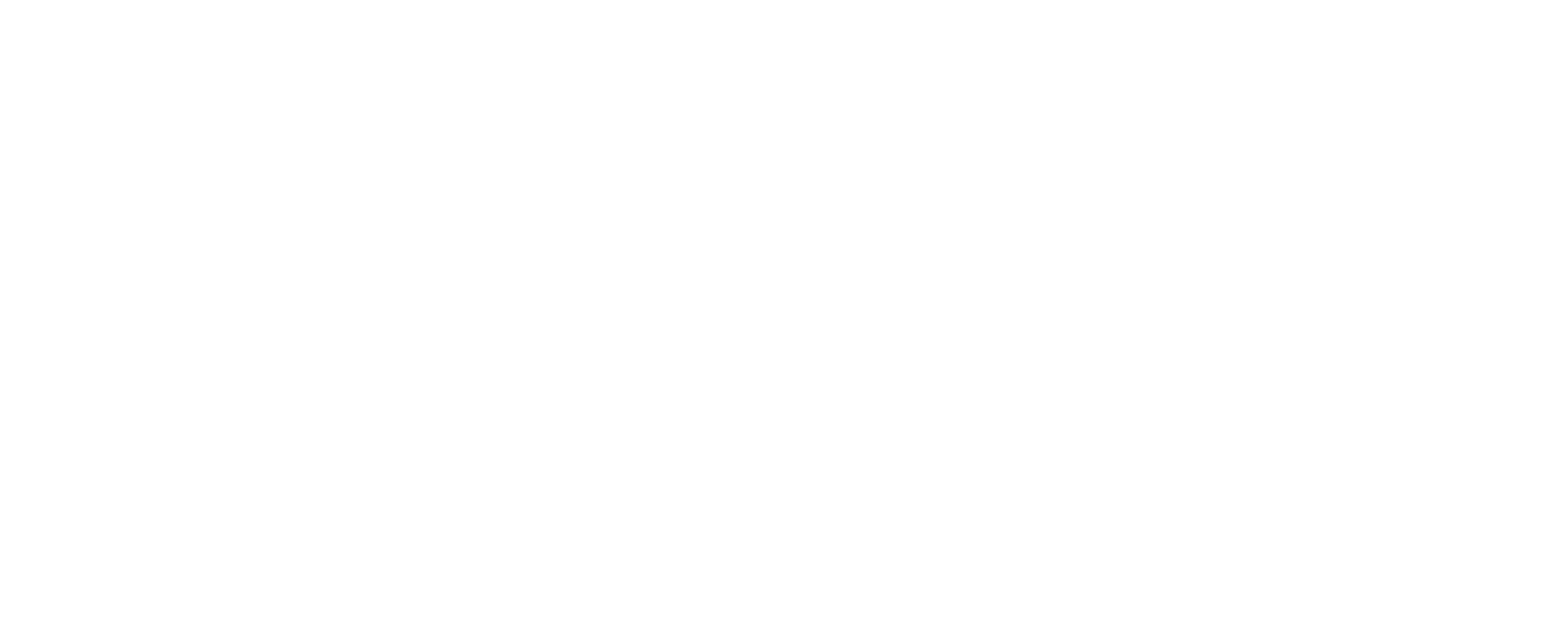 Fidelis Insurance logo in transparent PNG and vectorized SVG formats