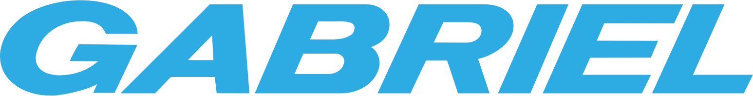 Gabriel India logo in transparent PNG format