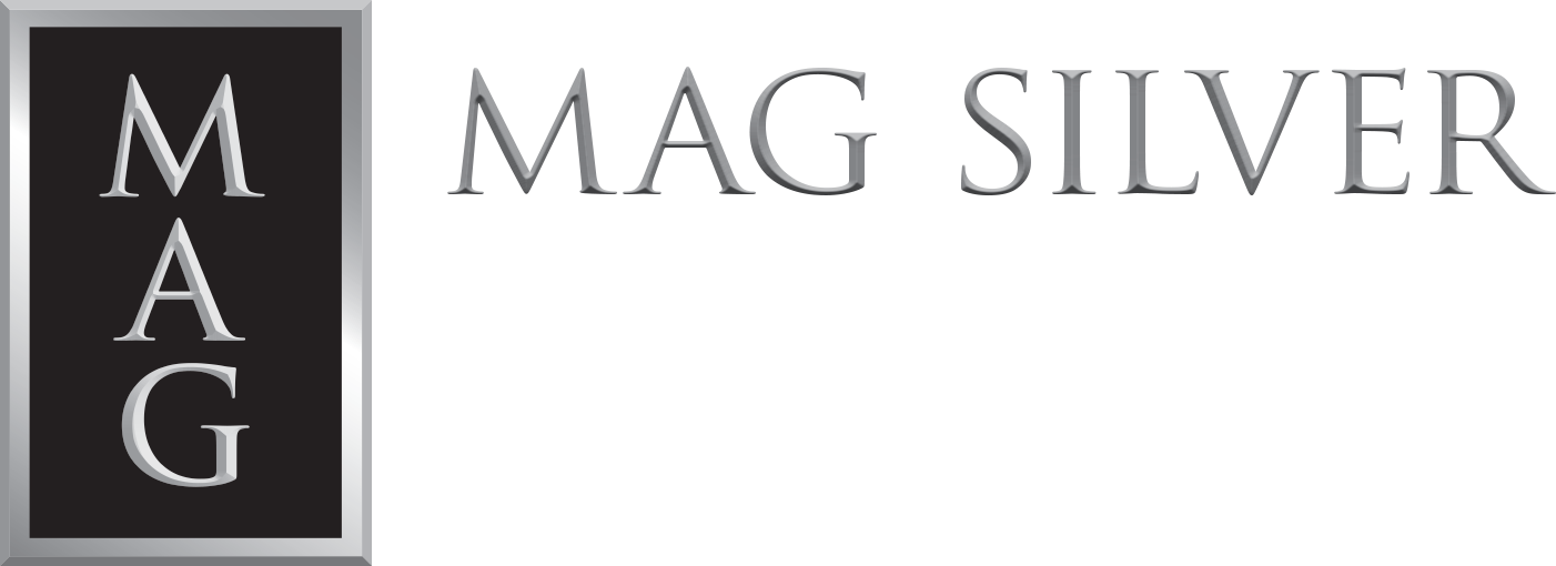 MAG Silver logo in transparent PNG format