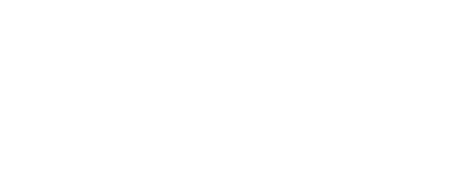 Nano Dimension logo in transparent PNG and vectorized SVG formats