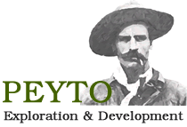 Peyto Exploration & Development logo in transparent PNG format