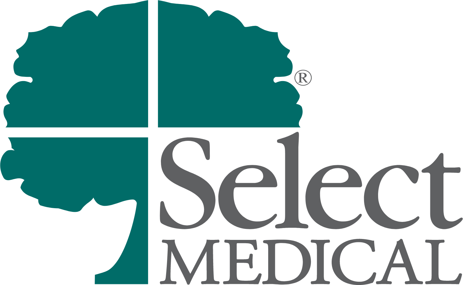 Select Medical Holdings Logo im PNG-Format mit transparentem Hintergrund Select Medical Holdings Logo im PNG-Format mit transparentem Hintergrund