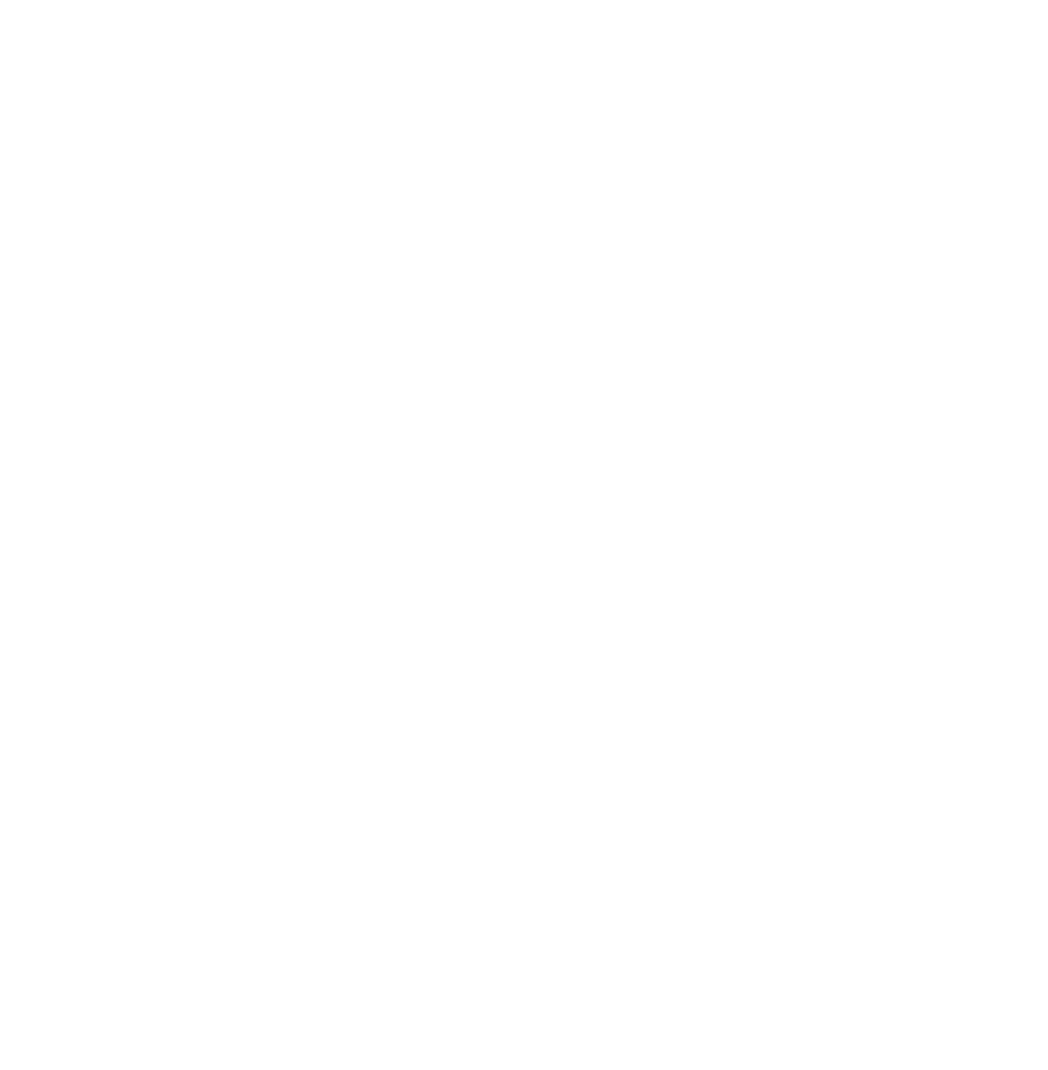 SNP Schneider-Neureither & Partner logo in transparent PNG and ...