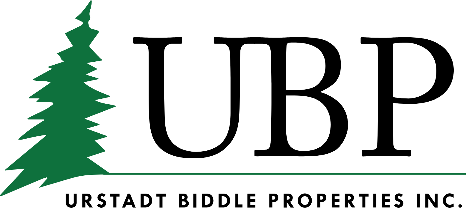 UB Properties logo in transparent PNG and vectorized SVG formats