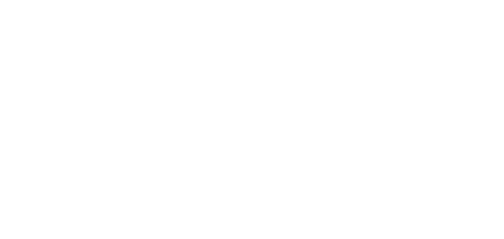 Logo de Deep Instinct aux formats PNG transparent et SVG vectorisé
